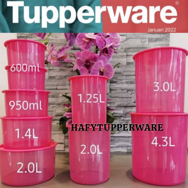 🔥READY STOCK🔥One Touch Canister Tupperware (1.2L/2L/3L/4.3L) Topper Junior 600ml/Topper Small ...