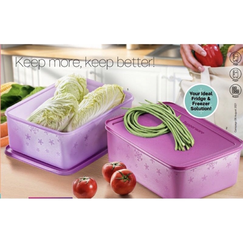 NEW Chill Freeze Large (1) 5.7L Tupperware Original READY STOCK 🔥 ...