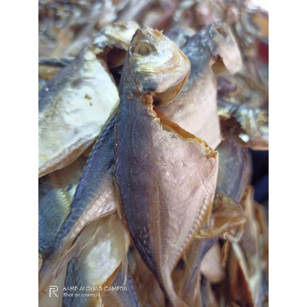 Ikan Kering/Masin Ikan Pelata 100gram | Shopee Malaysia