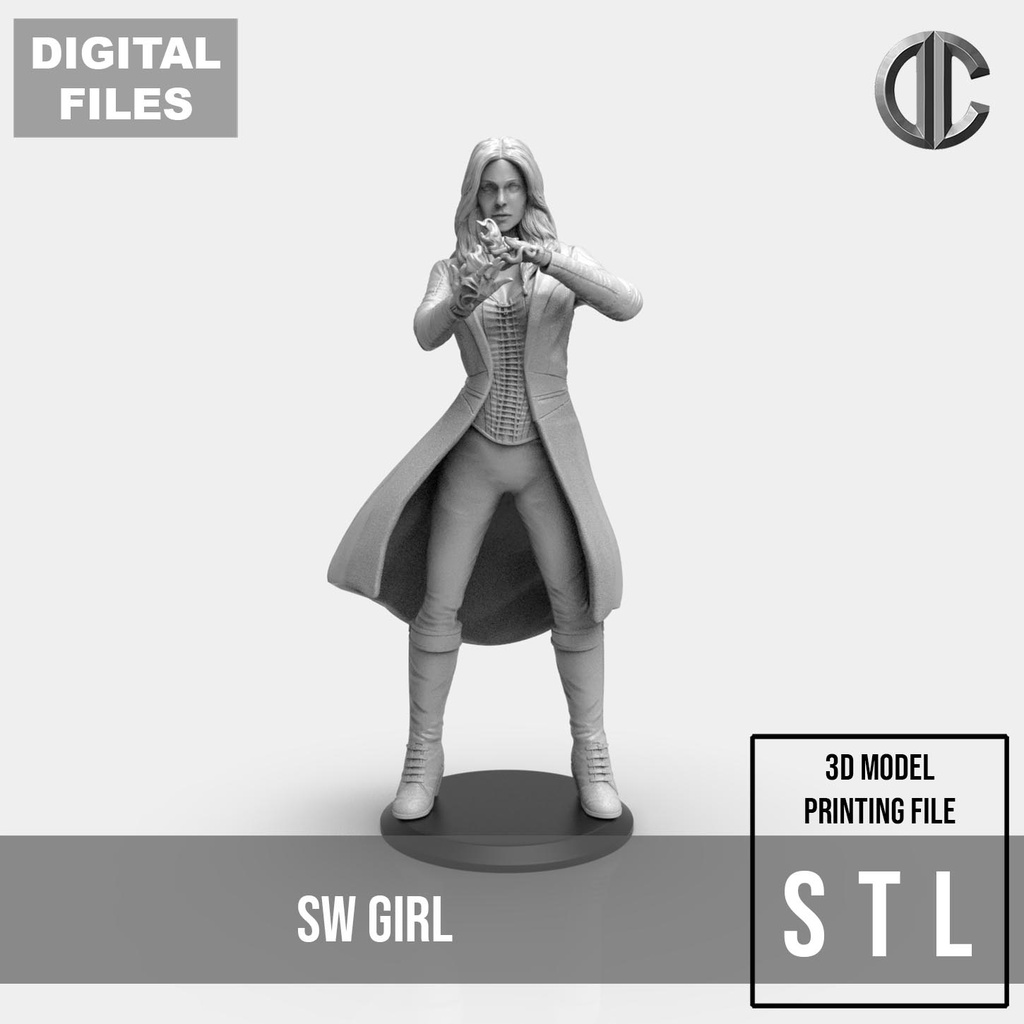 E276 - Comic character design, SW female character design statue, STL ...