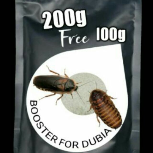 Dubia Roach Food 200g + FREE 100g – Sesuai untuk Pembiakan & Pemakanan ...
