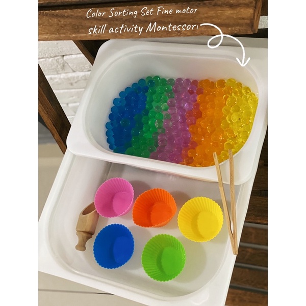 Color Sorting Set Fine motor skill activity Montessori蒙氏颜色配对组 | Shopee ...
