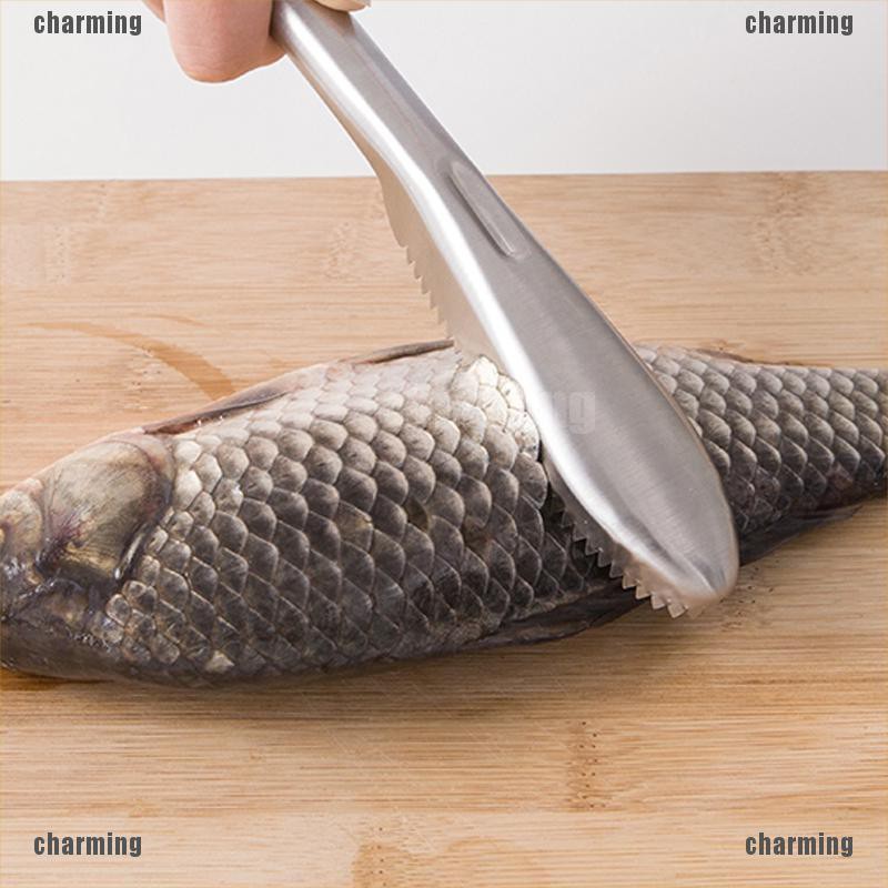 Stainless Steel planing Fish scale manual fast fish phosphorus fish scale scraping ALAT BUANG ...