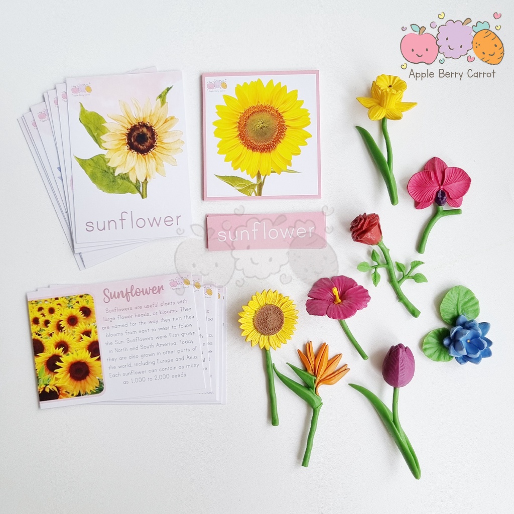 FLOWERS SAFARI LTD - TOOB - CARDS | Shopee Malaysia