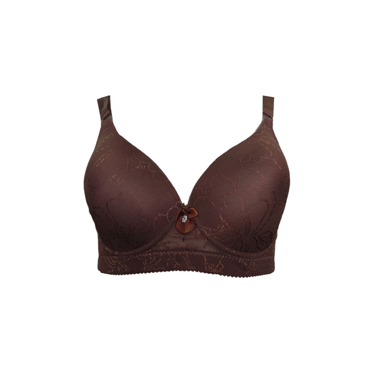 Hari-Hari - EV FASHION Women's Bra D Cup / Wired / Baju Dalam Wanita ...