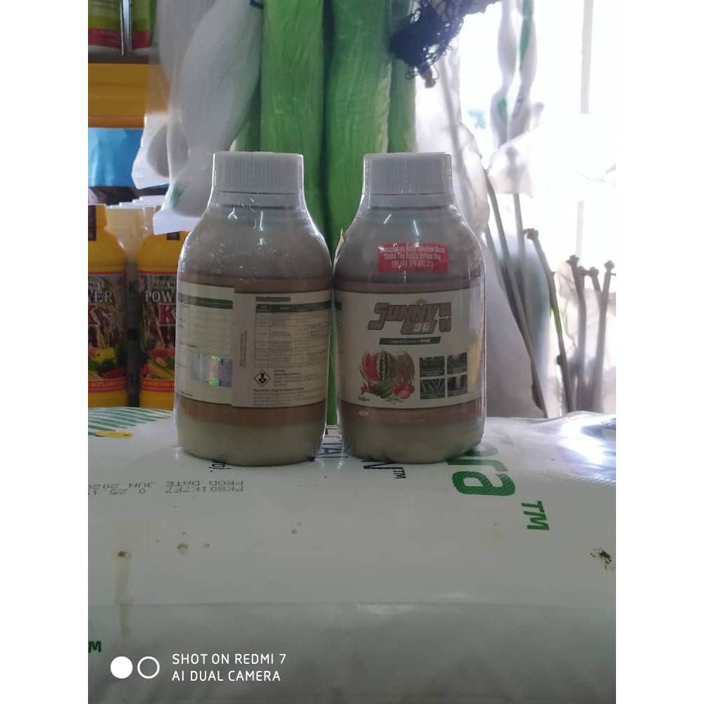 CMC SUNNY 96 - Racun Organik Kuprum khas untuk penyakit hawar dan ...