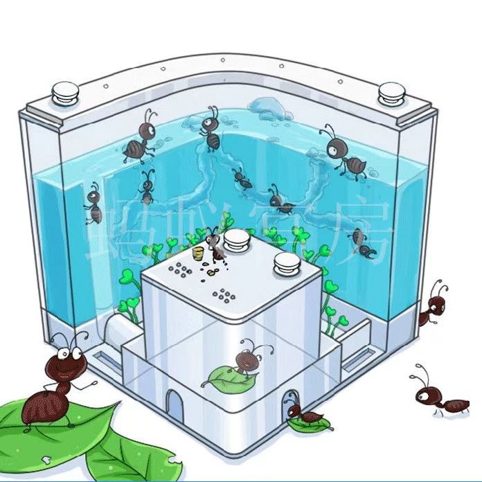 Ants House Castle Terrarium Ant Observed Box Nursery Ecological ...