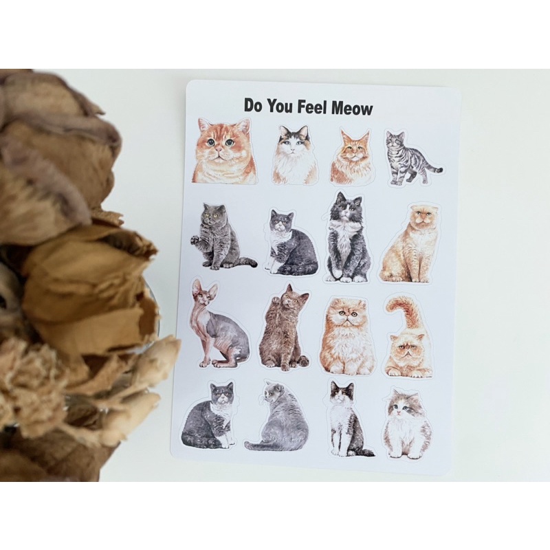 Cute Cat sticker journal, bujo sticker , cat sticker , planner sticker ...