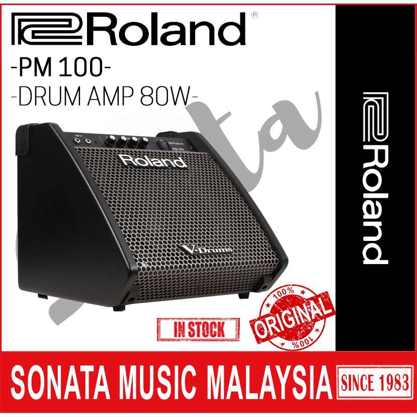 Roland PM-100 - 80 Watt, 1x10 Inch Personal Drum Monitor (PM100/PM ...