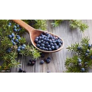 whole dried juniper berry/bark (Juniperus Communis)juniber herb import ...
