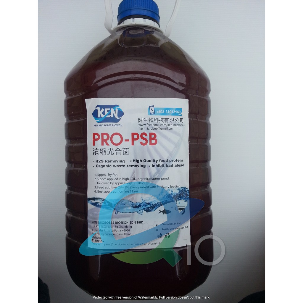 Pro - Psb (Photosynthetic bacteria) - 5 Liter | Shopee Malaysia