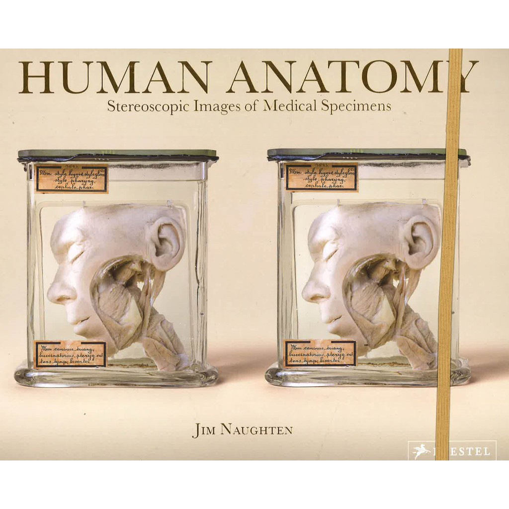 (BBW) Human Anatomy: Stereoscopic Images Of Medical Specimens (ISBN ...