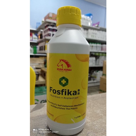 Fosfika 1L Nutrion + Protection NPK 3:27:18 + TE Baja Terbaik Durian ...