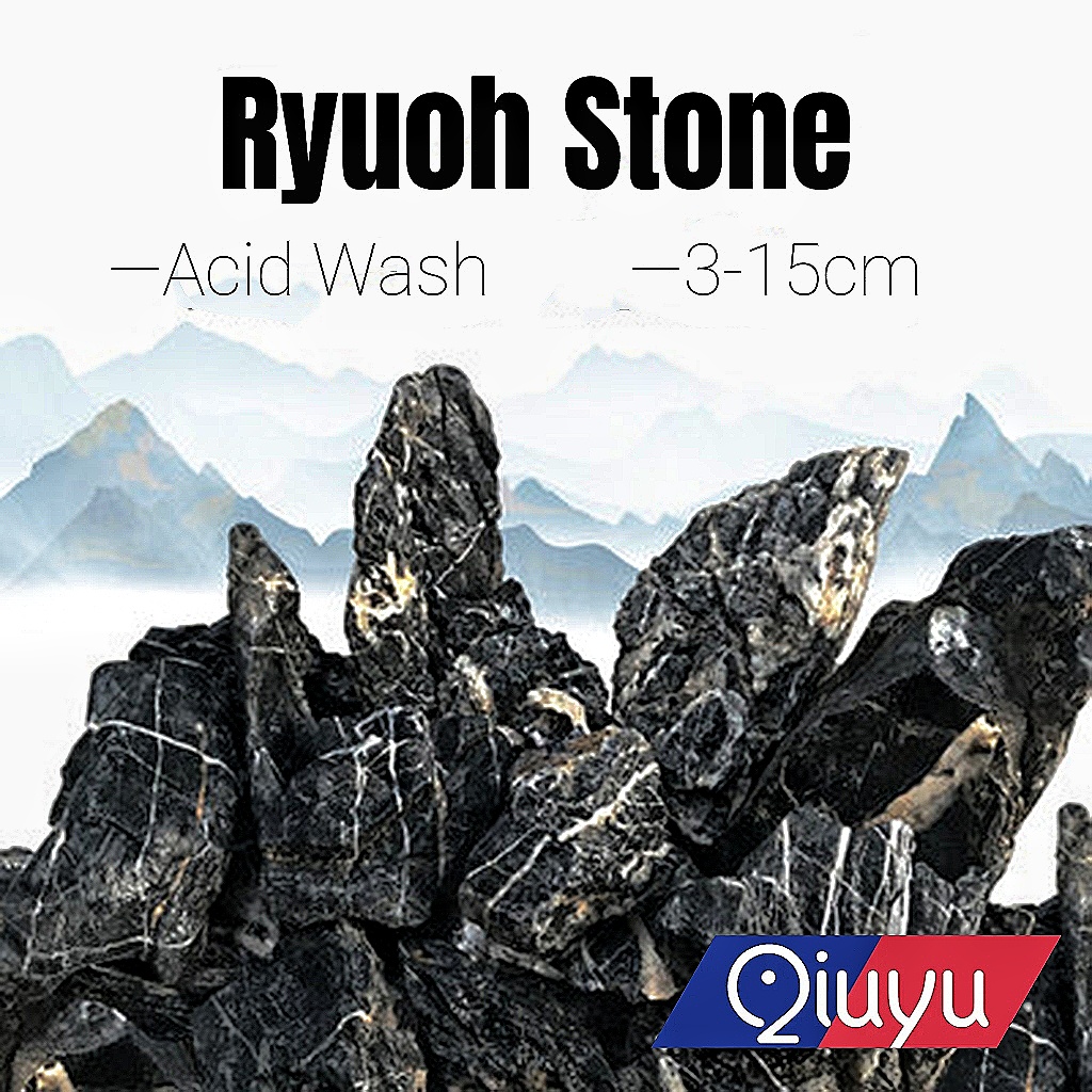 Seiryu Ryuoh Rock （Acid Wash） 青龙石 stone aquarium fish tank aquascaping ...