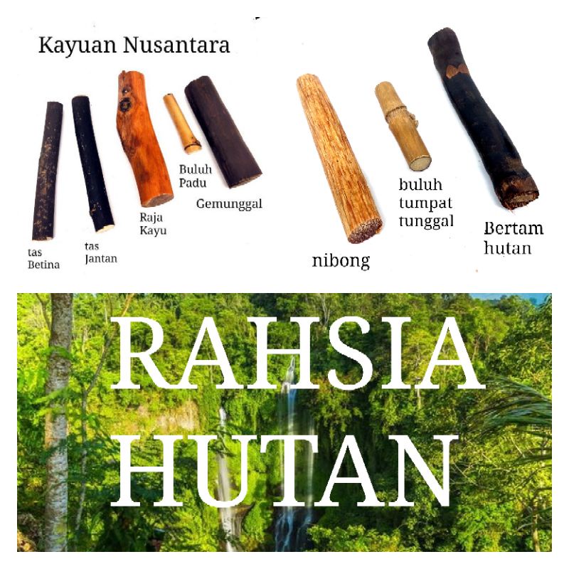 Kayu Hutan Rare Tas Gemunggal Raja Kayu Buluh Tumpat | Shopee Malaysia