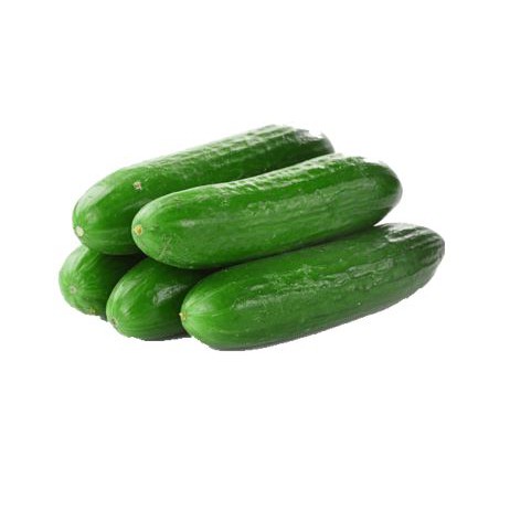 Timun / Cucumber - Farm to Home - Cameron Highland - (500g per pack ...
