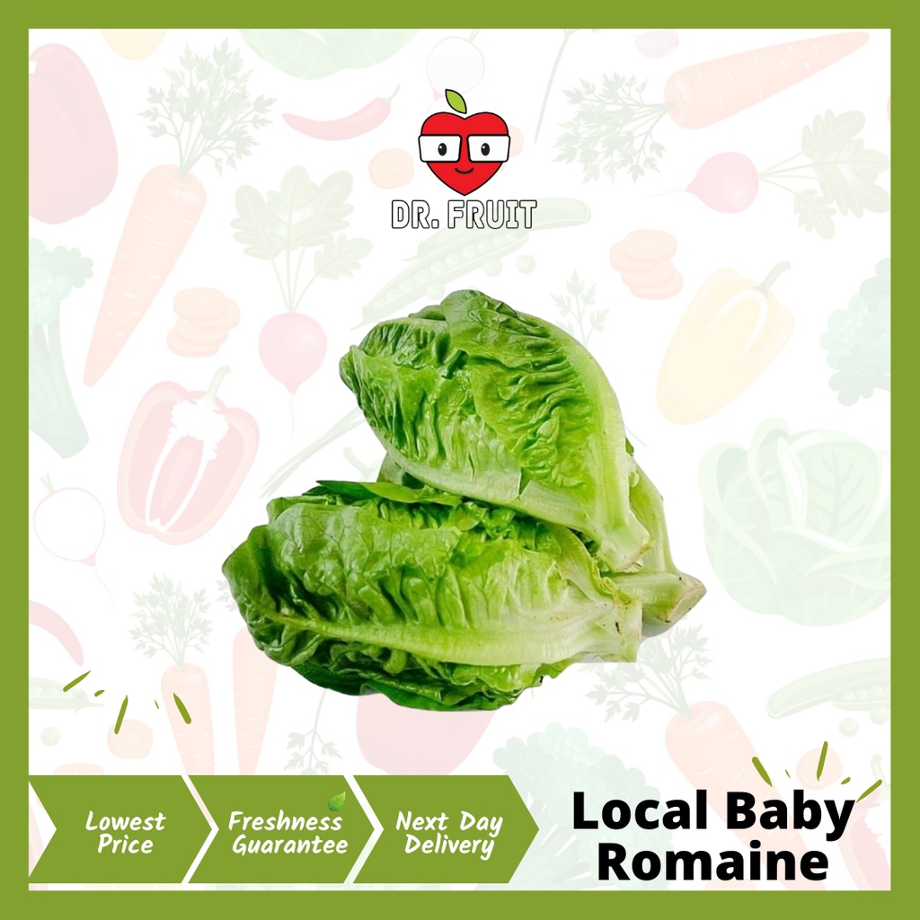 Local Baby Romaine (300g+-) 本地小罗马生菜 | Dr.fruit | Shopee Malaysia
