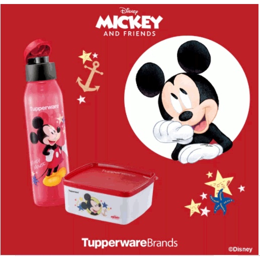 Tupperware Mickey+ Minnie Eco Bottle 500ml and Snack Box (1 set 2 pcs ...