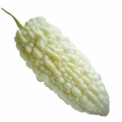 White Bitter Gourd Seeds/ Benih Peria Putih Panjang Putih - Ready Stock ...