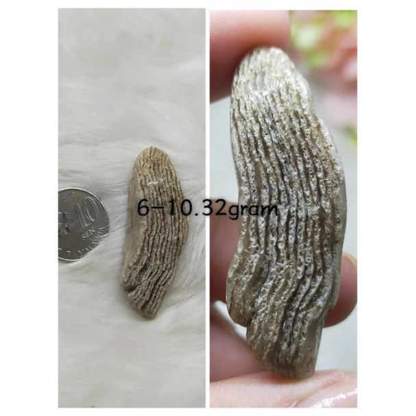 Layer Phantom Natural Rough Stone/Polishing/已抛光/千层幽灵原石 | Shopee Malaysia