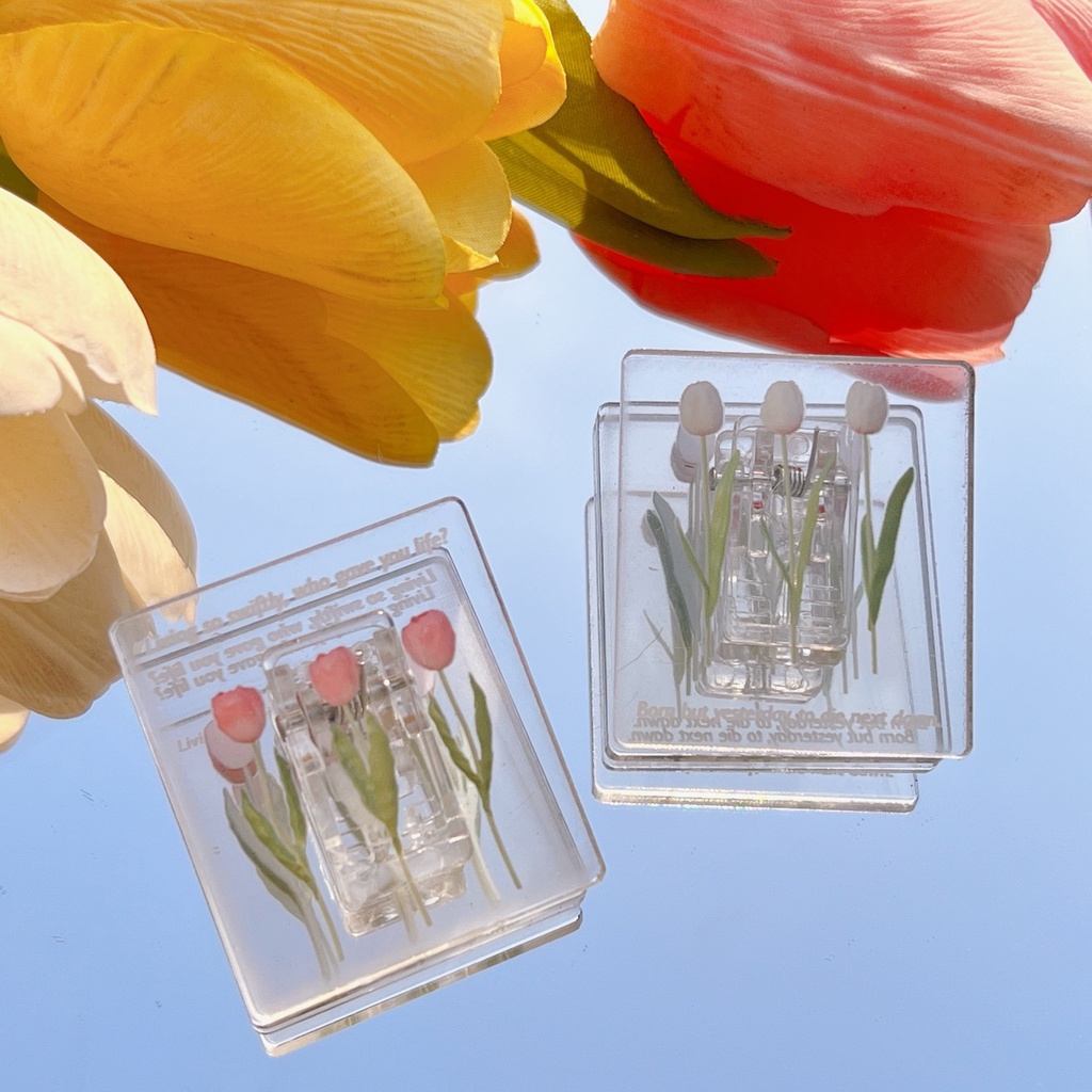 Transparent Folder Little Clip File Cube Sugar Acrylic Clip Long Tail ...