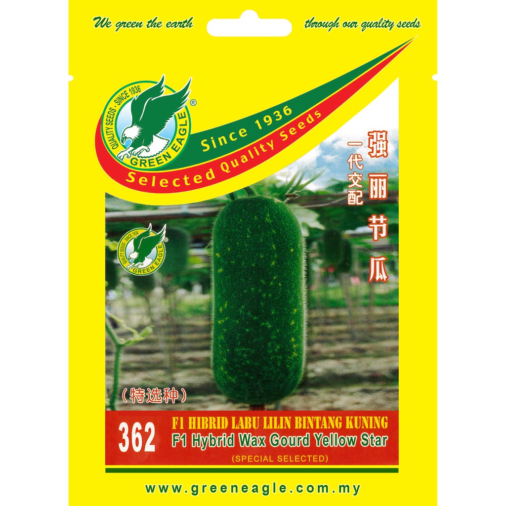 Biji Benih Labu Lilin Bintang Kuning F1 Hibrid 362 Hybrid Wax Gourd ...