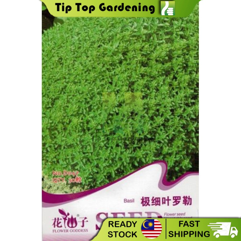 【EXPIRED】BIJI BENIH D047 BASIL FLOWER GODDESS VEGETABLE FLOWER FRUIT ...