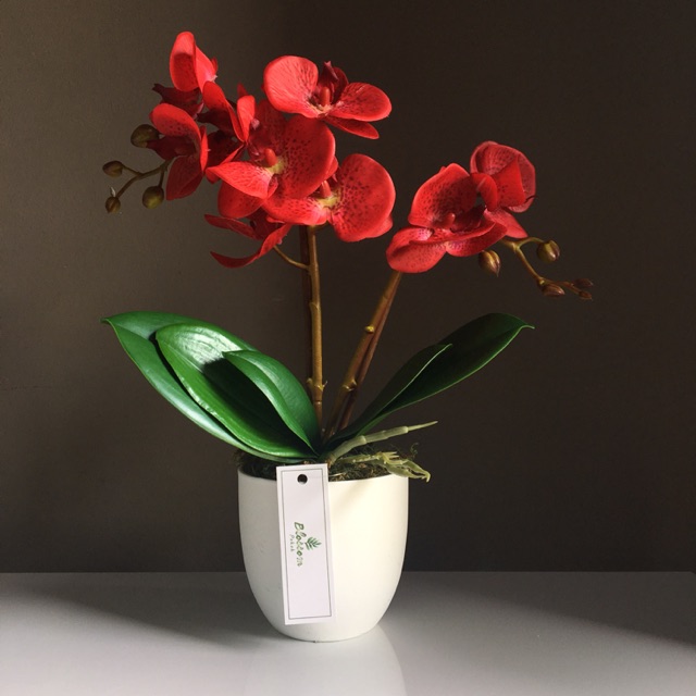 Artificial Mini Orchid Red (Ready Stock) | Shopee Malaysia