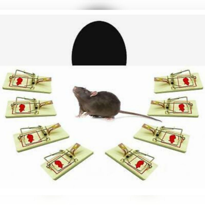 Reusable Wooden Mouse Traps Bait Mice Vermin Rodent Pest Control ...