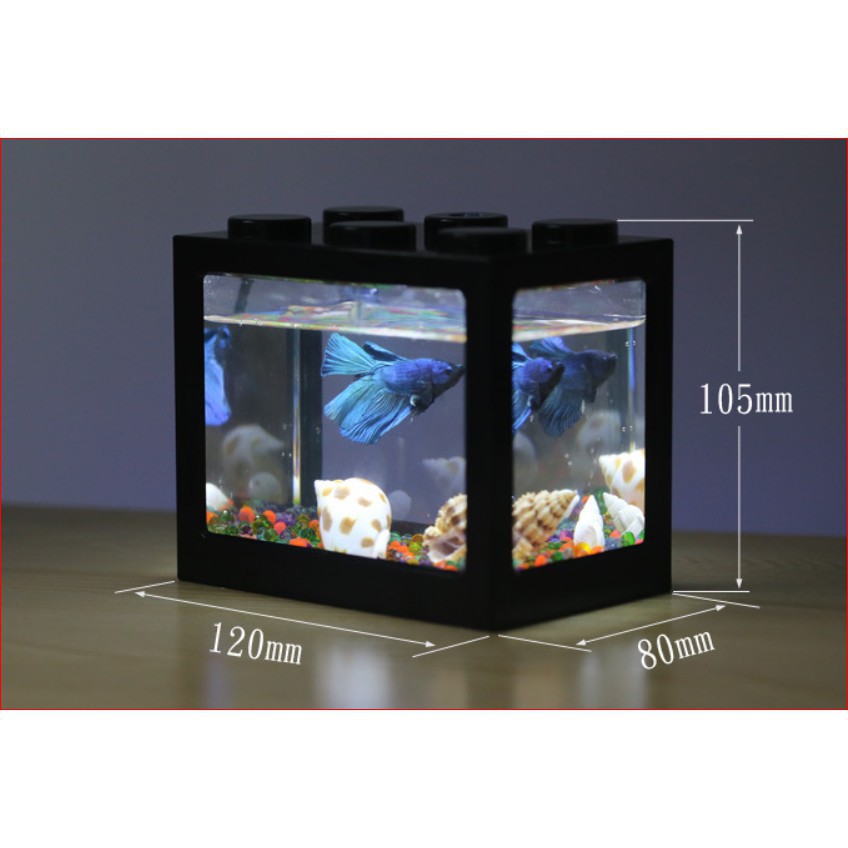 🌈TOP SELLER🌈.betta fish tank.aquarium.solutions 🐙KL ready stock🐟betta ...