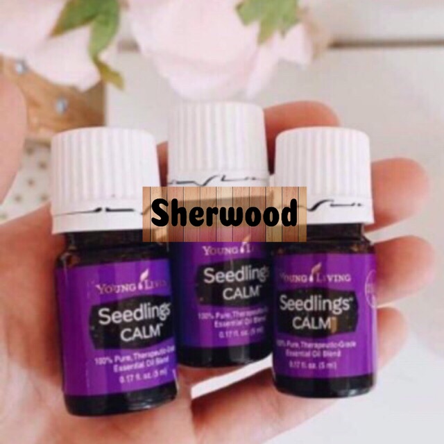 YL Seedling Calm essential oil 5 ml | Shopee Malaysia