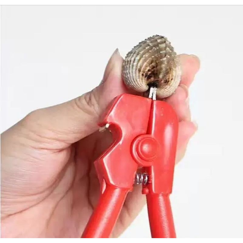 🦉MUTLIPURPOSE DEVICE SIHAM SHELL KERANG OPENER 多功能血蛤鉗，花蚶，泥蚶🦉 | Shopee ...