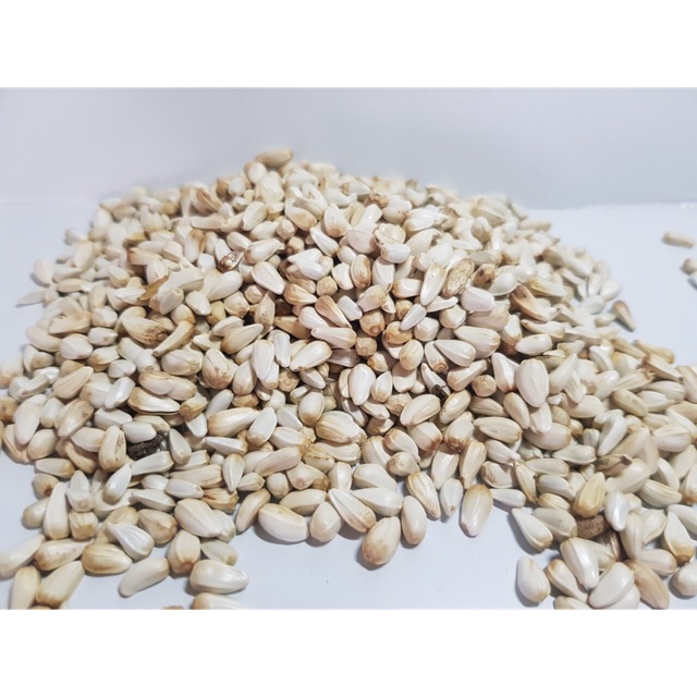 Kham Seeds for Parrots, packed 1kg | Shopee Malaysia