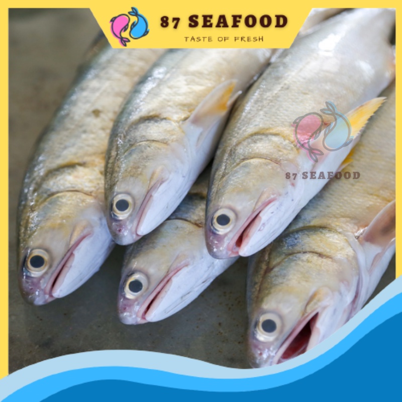 Local Wild Caught Threadfins Fish ( 600 - 1000g ) Cleaned Vacuum Packed ...