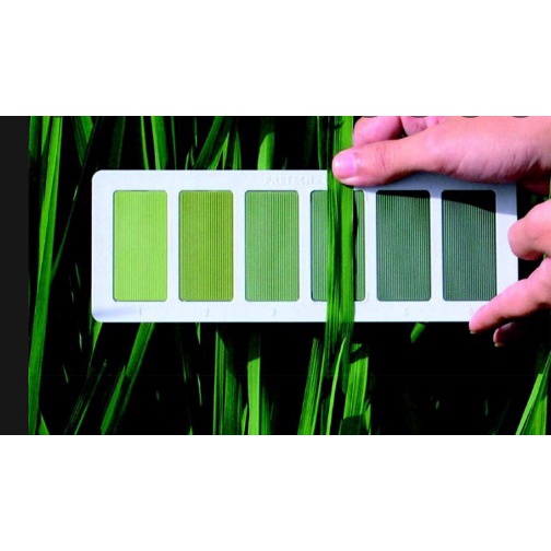 NITROGEN PARAMETER LEAF COLOR CHART (LCC) - 6 PANELS FOR RICE | Shopee ...