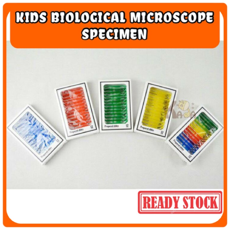 🔥KIDS BIOLOGICAL MICROSCOPE SPECIMEN🔥 | Shopee Malaysia