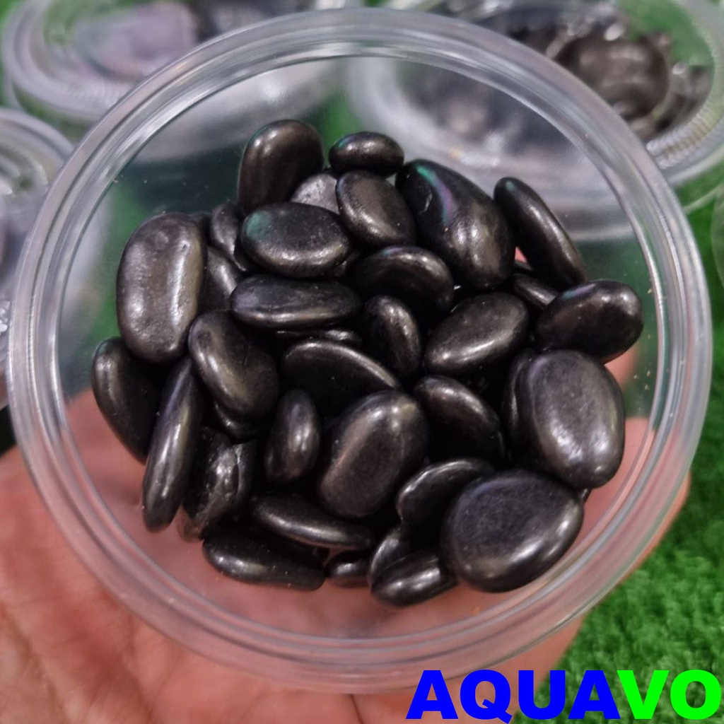 BATU HITAM PEBBLE STONE FOR AQUASCAPE AKUARIUM SUNGAI HIDROPONIK CACTUS ...