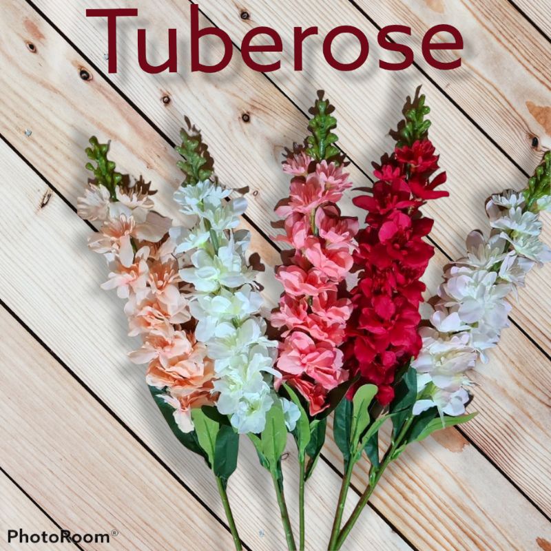 💥💥READY STOCK💥💥Bunga tuberose (harum sundal malam) | Shopee Malaysia
