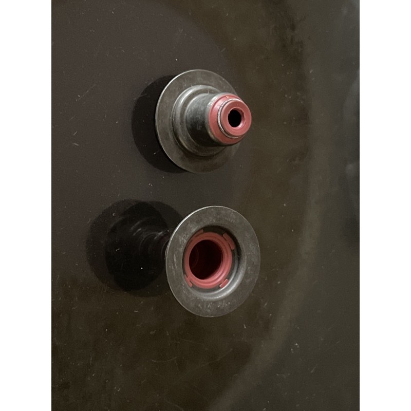 Proton Campro CFE CPS - Valve Seal Intake Exhaust Valve Stem - Gen2 ...