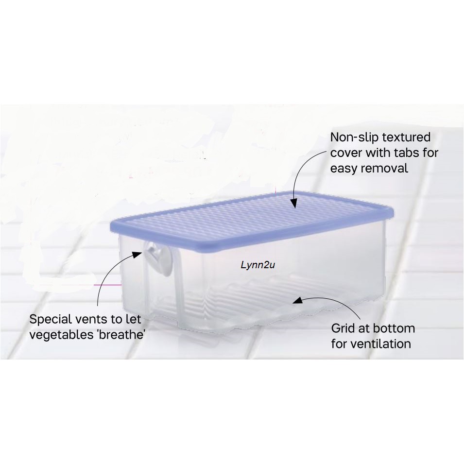 Tupperware Fridgesmart Medium (1) 1.6L | Shopee Malaysia