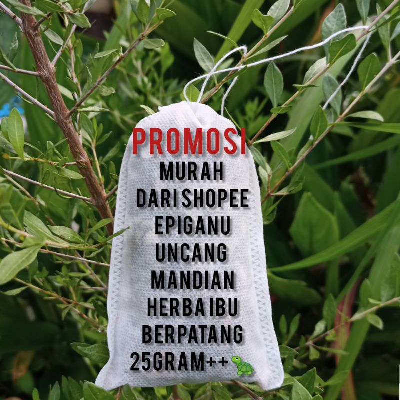 🔥BEST SELLING 🔥 SALES HERBA MANDIAN IBU BERPANTANG / DAUN SEROM ...