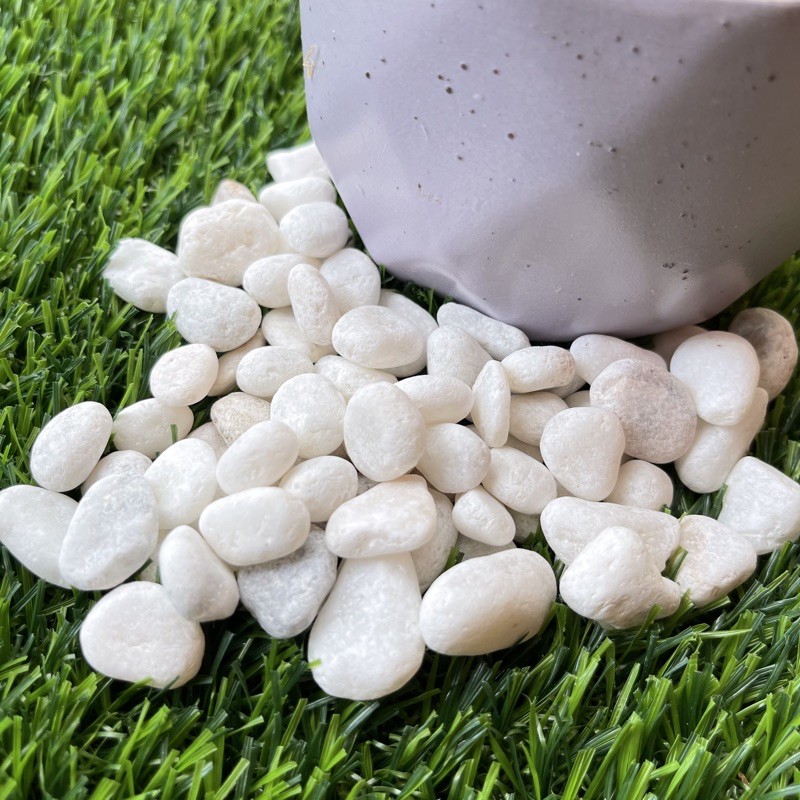 [1kg] Natural white pebbles stone Garden Plant Decoration accessories ...