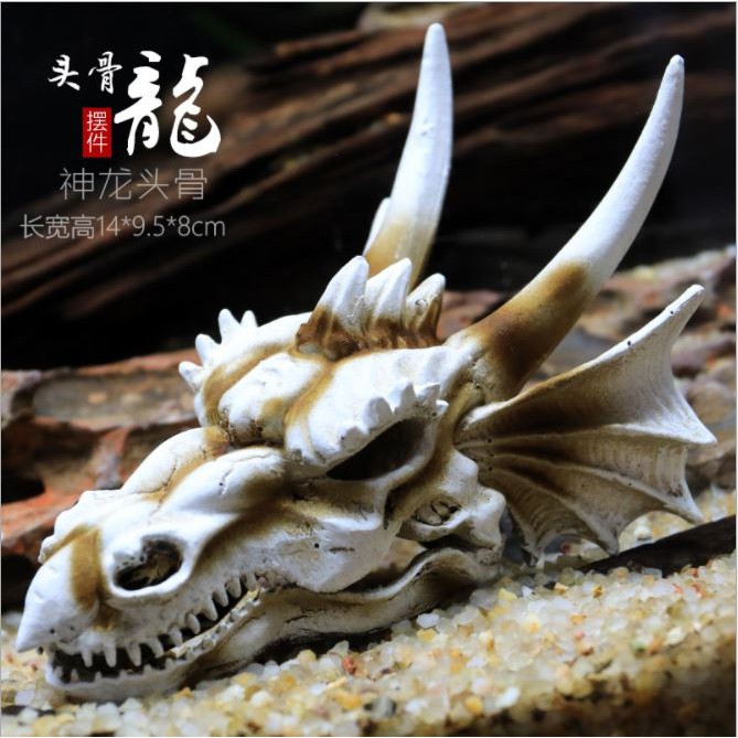 Reptile / Terrarium / Fish Aquarium Decorations Dragon Skull 神龙头骨 Resin ...