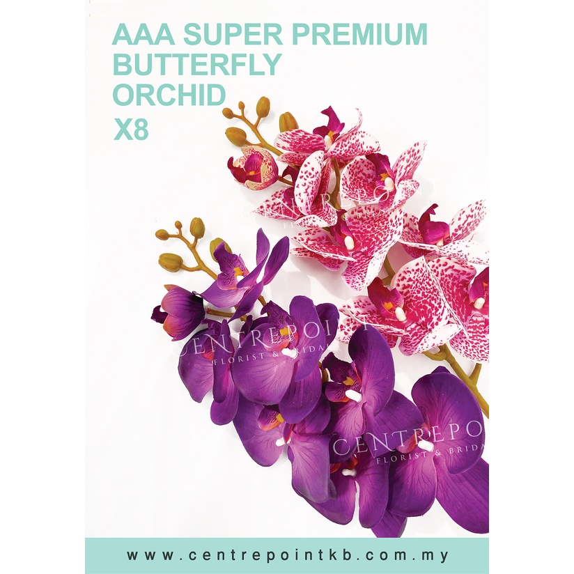 50++ COLOURS!! 8 Heads AAA Super Premium Latex Butterfly Orchid 【A ...