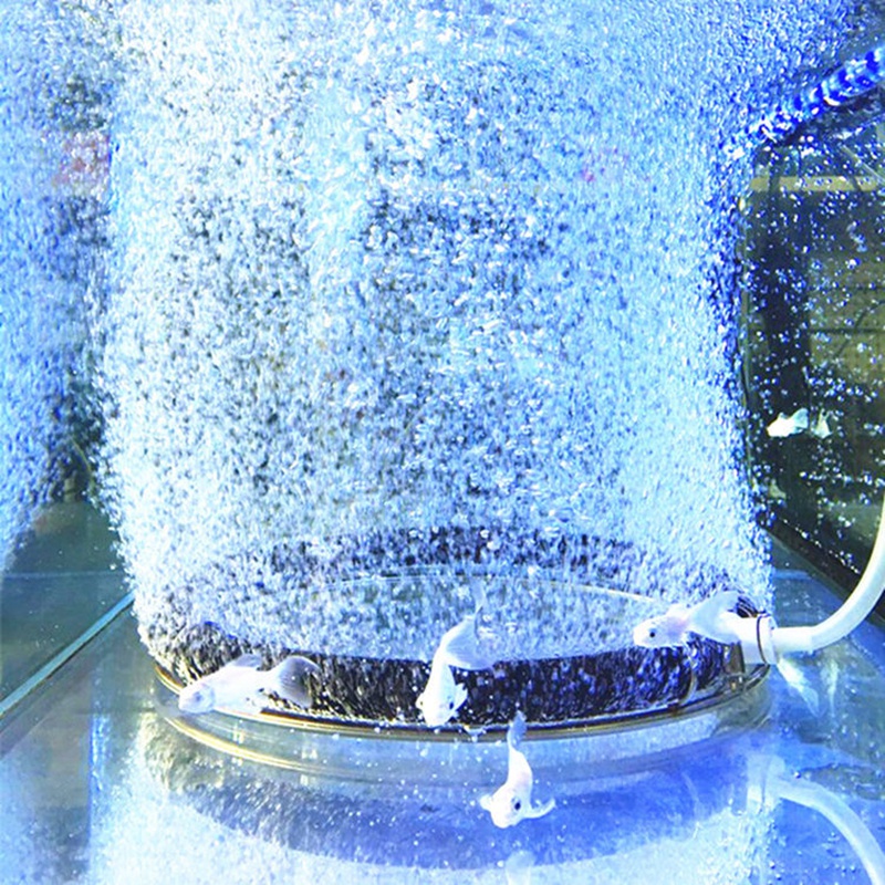 Stainless Steel Aeration Ring Aeration Tube Aquarium Fish Lake Fish ...