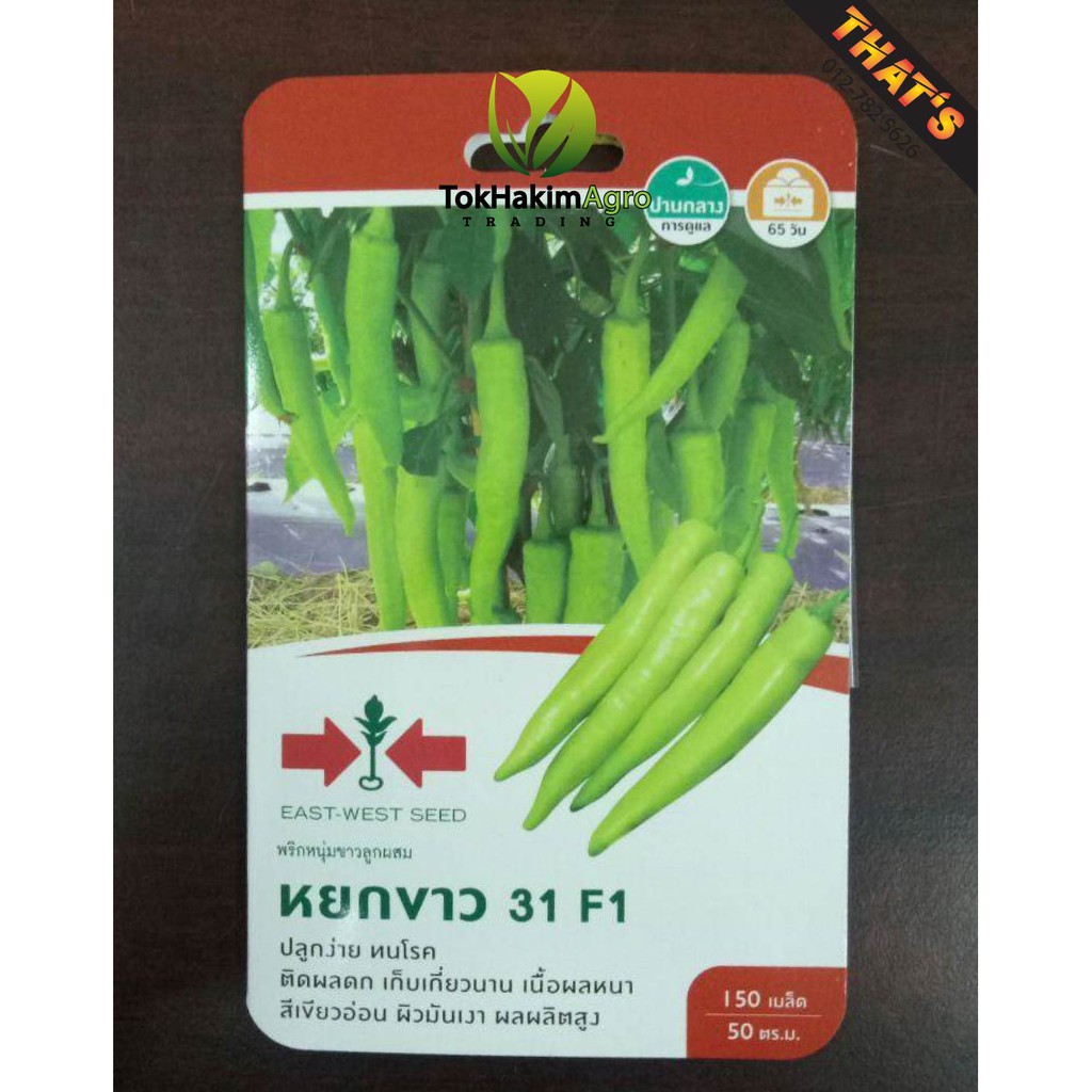 Benih Lada Solok Panjang Thai Cap Panah Merah/East West (150biji ...