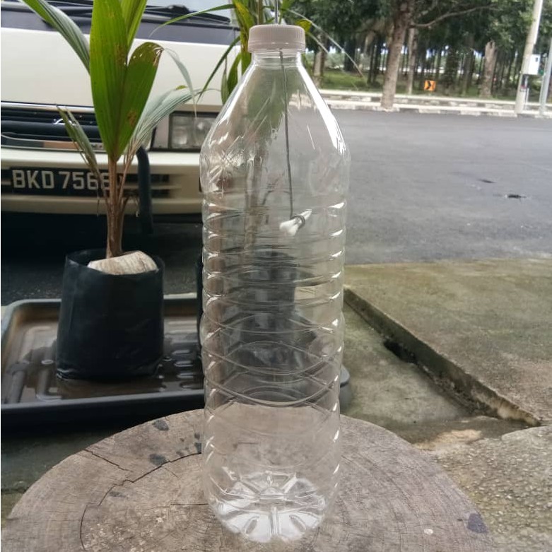 Botol Perangkap Lalat Homemade - Jimat Dan Berkesan | Shopee Malaysia
