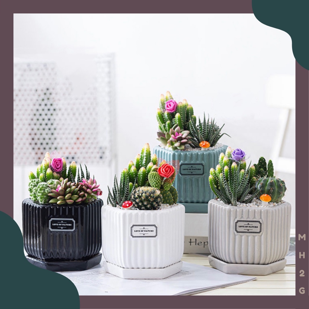 "Love of Nature" Ceramic Flower Pot With Wording “热爱大自然” 陶瓷花盆 | Shopee ...