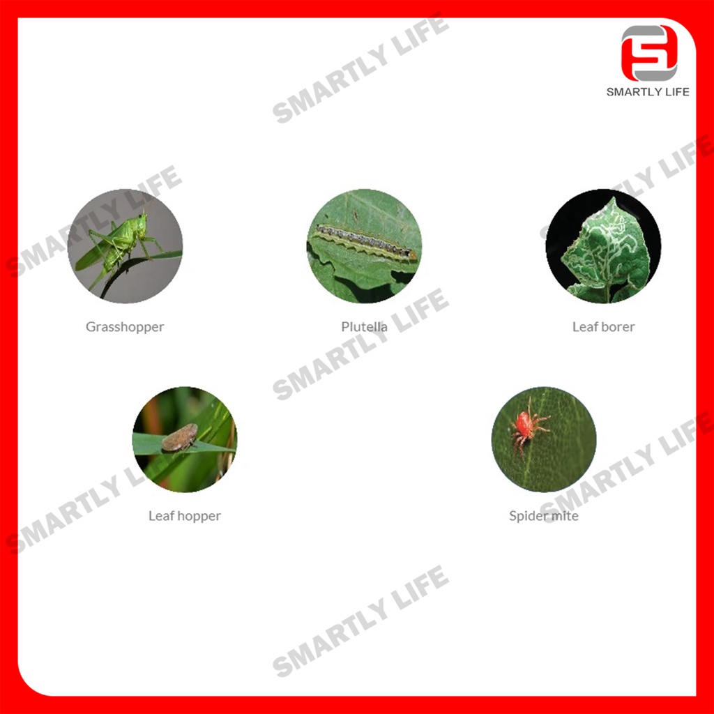 Baba Mr Ganick Dr Neem Natural Pesticide Racun Perosak Non-Toxic Ready ...