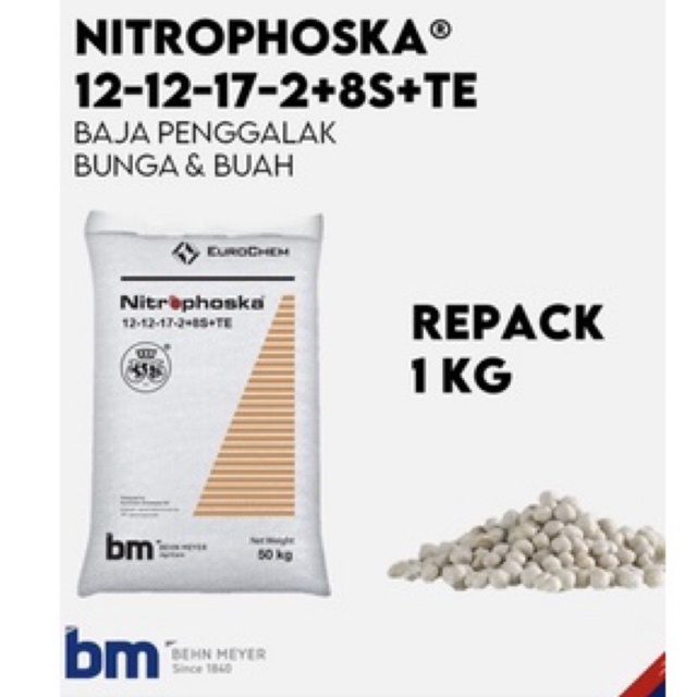 Baja Buah Cap Singa dan Kuda (1KG) | Shopee Malaysia